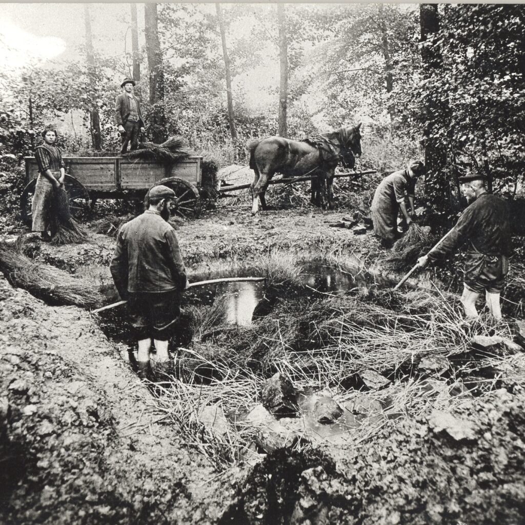 Gezocht: getuigen van vlasroten! - Erfgoedcel Waasland